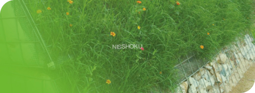 产品列表_苏州日植环境技术有限公司